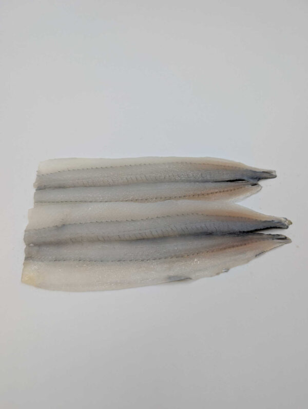 Garfish Fillet SA | Parissos Seafoods