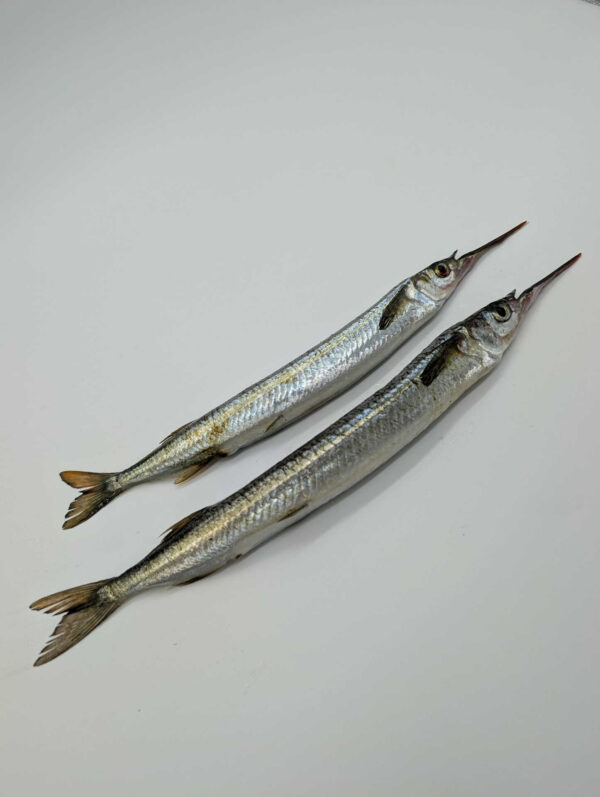 Garfish Whole SA | Parissos Seafoods